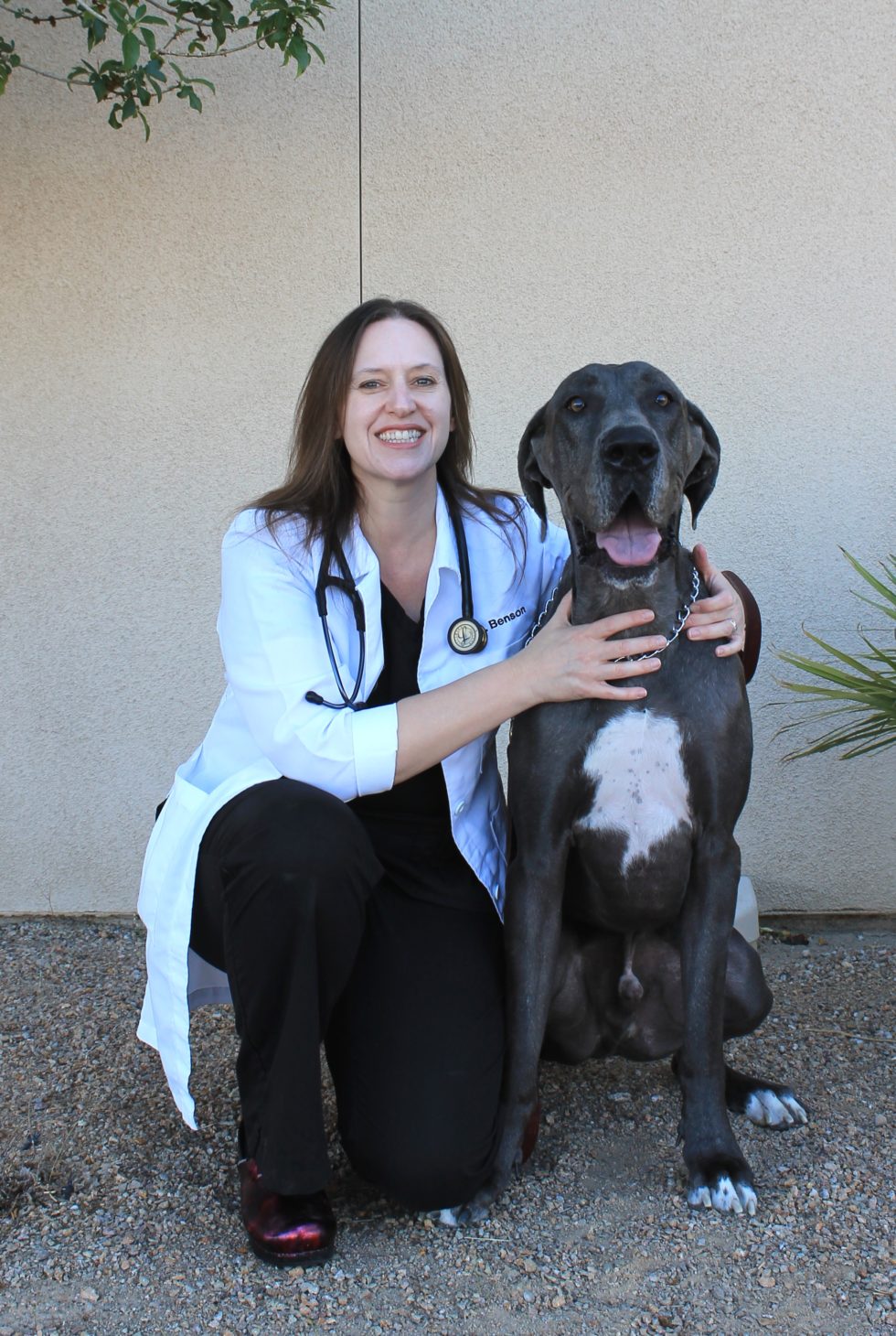 Meet Our Veterinary Team - West Russell Animal Hospital